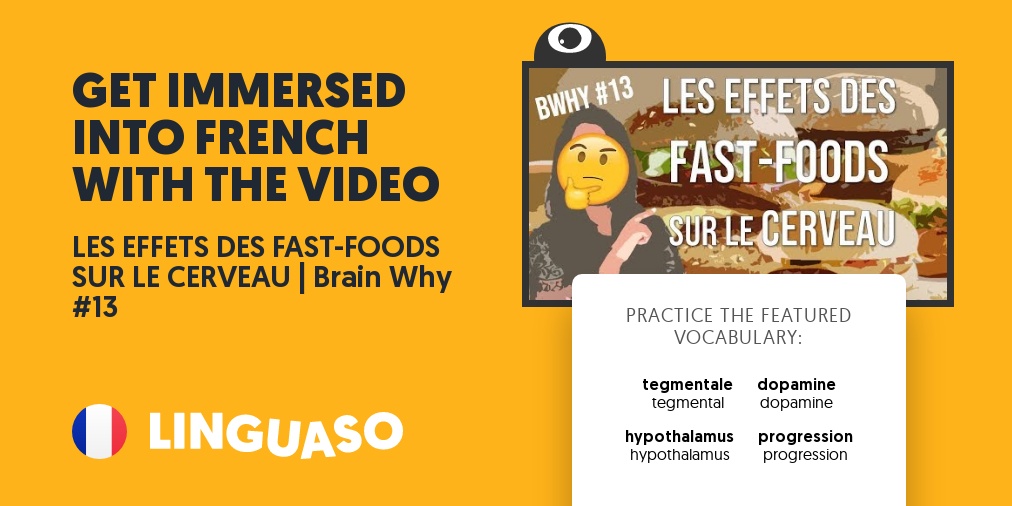 French Video: LES EFFETS DES FAST-FOODS SUR LE… | Linguaso